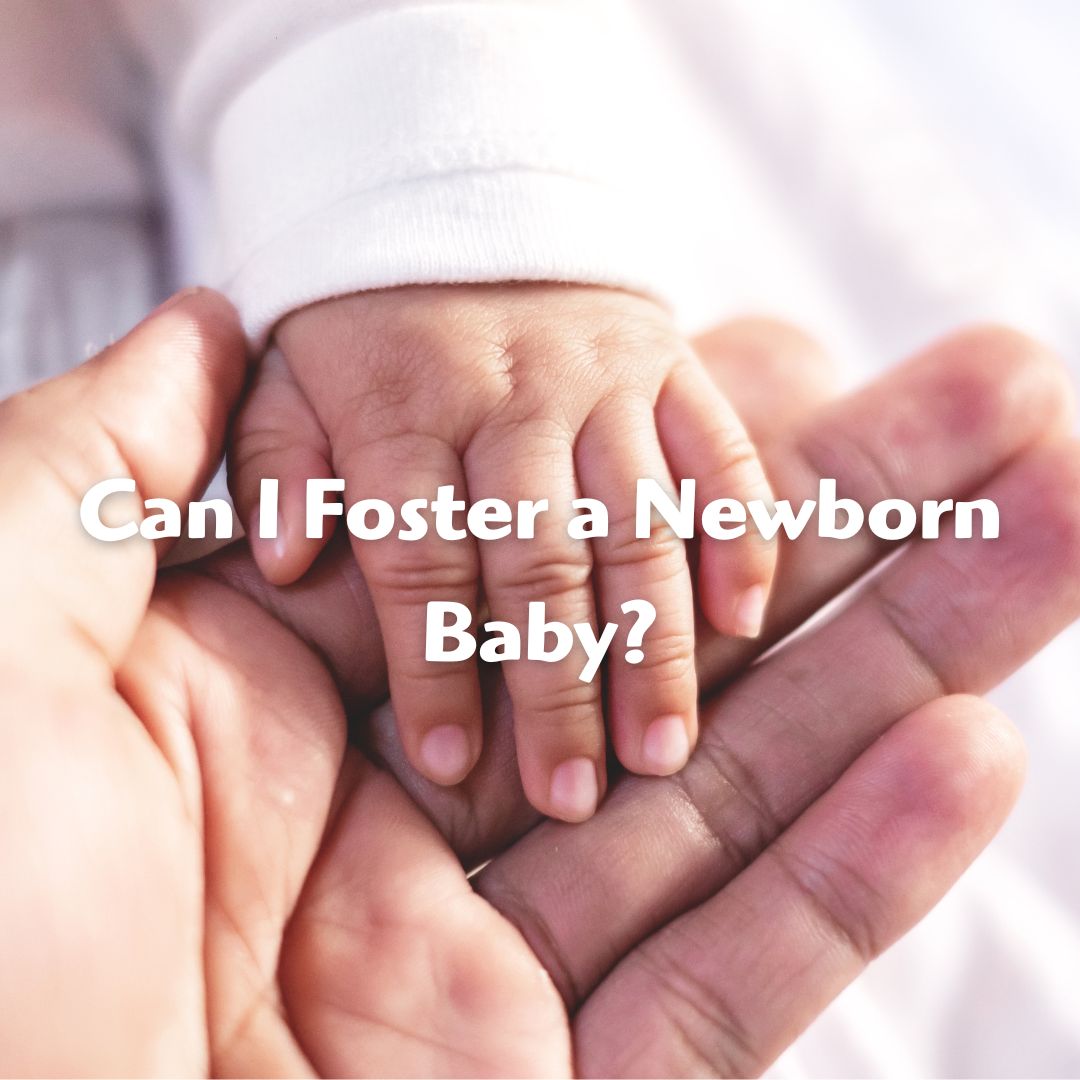 Can I Foster a Newborn Baby? | Olive Branch Fostering